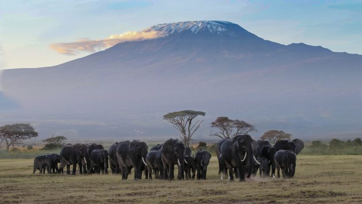 TOP 10 most beautiful African countries, RANKED