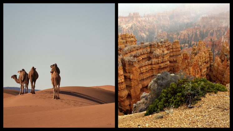 Top 10 AMAZING deserts in the world you NEED to visit