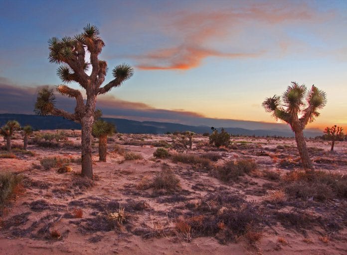 The 3 deserts of California: FACTS, locations, things to do, and MORE