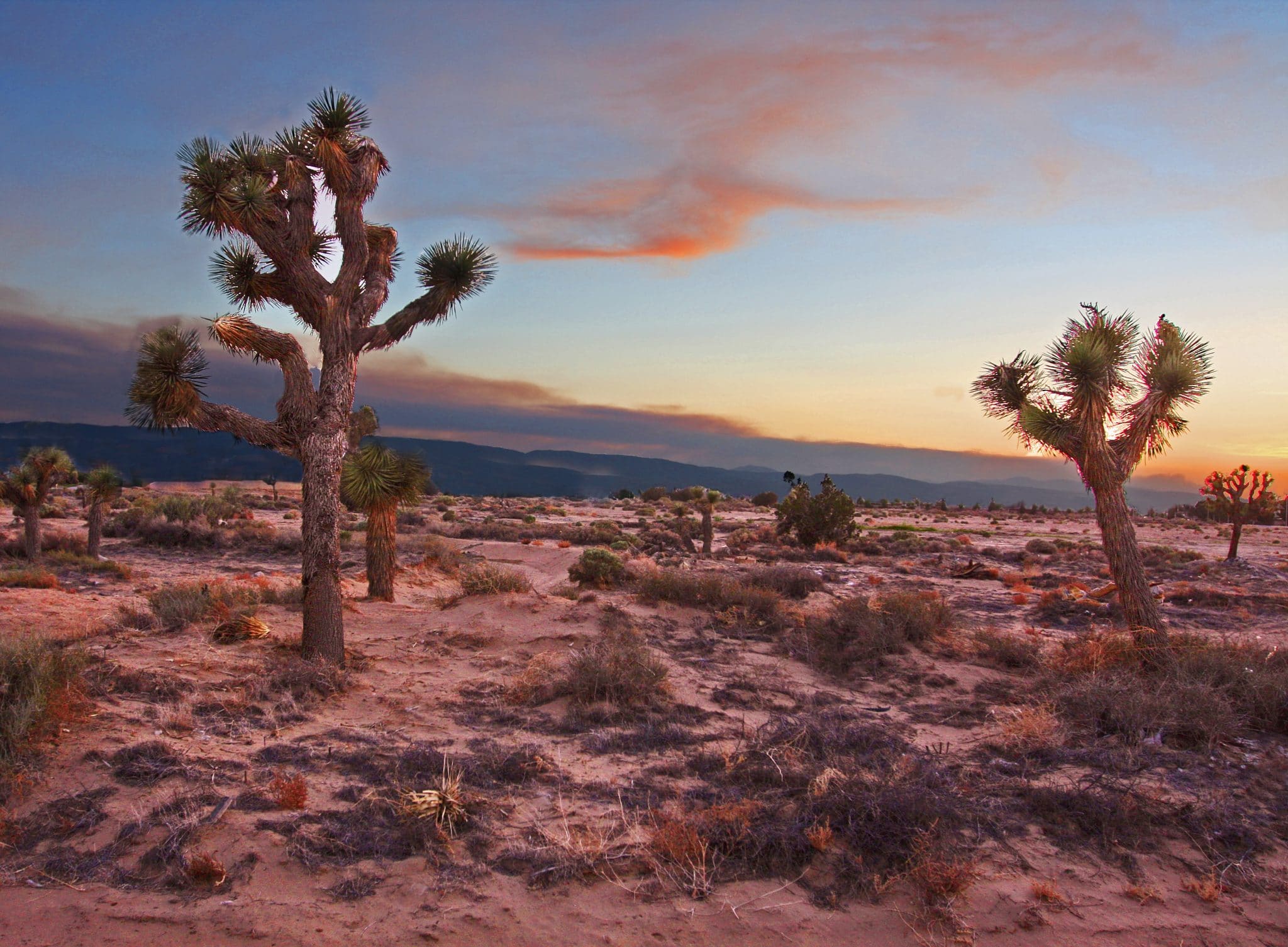 The 3 Deserts Of California FACTS Locations Things To Do And MORE The 3 Deserts Of California FACTS Locations Things To Do And MORE