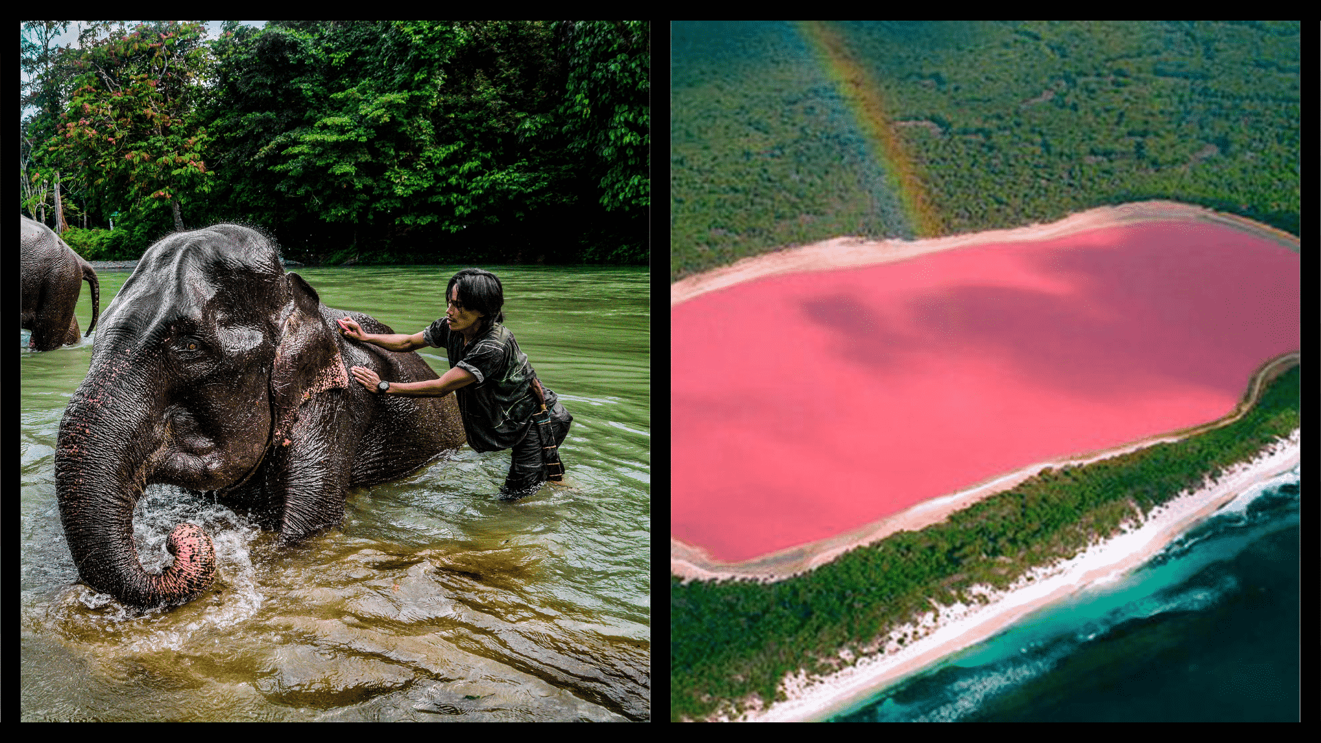 Top 5 MOST unusual things to do in your life, RANKED