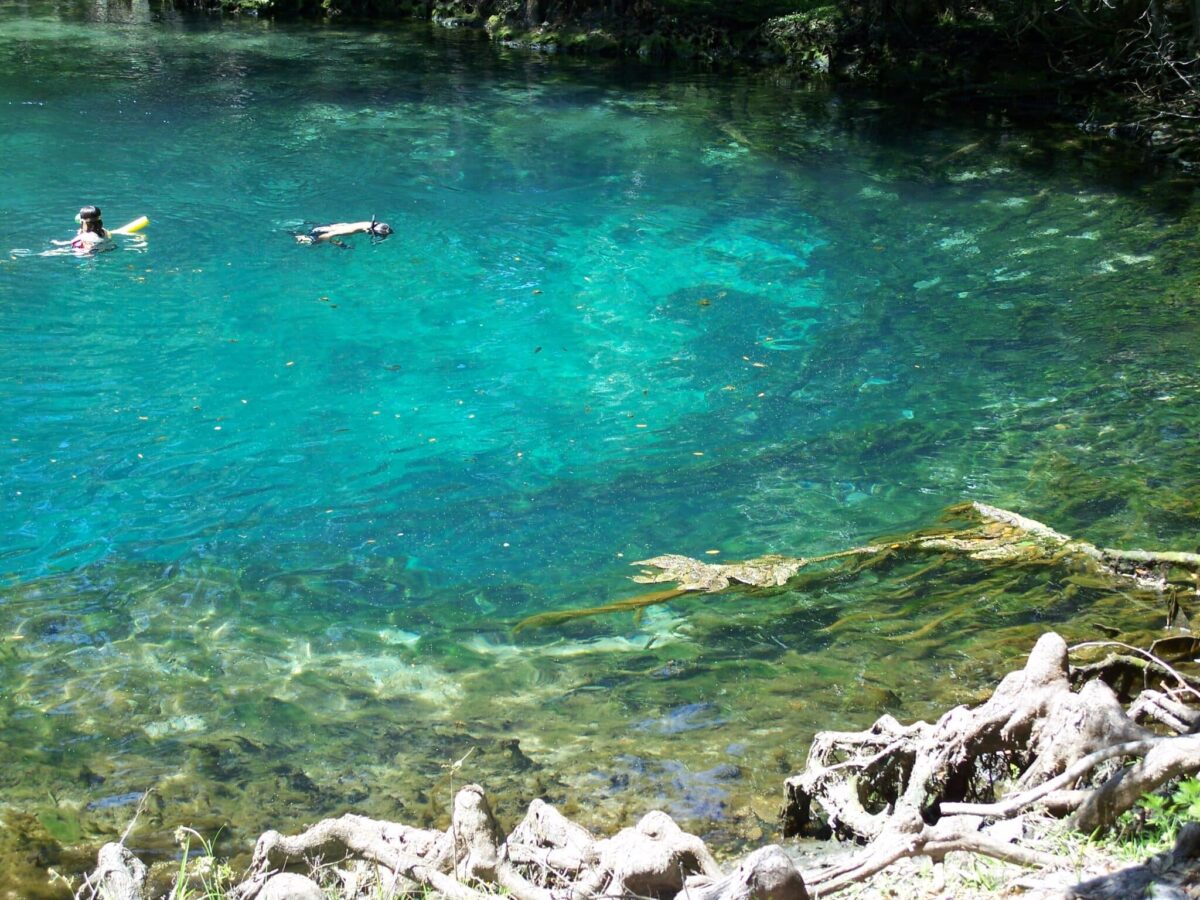 The 5 BEST hot springs in Florida you NEED to visit