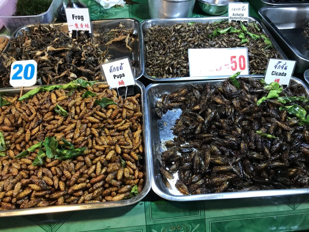 10 things you NEED to know before moving to THAILAND
