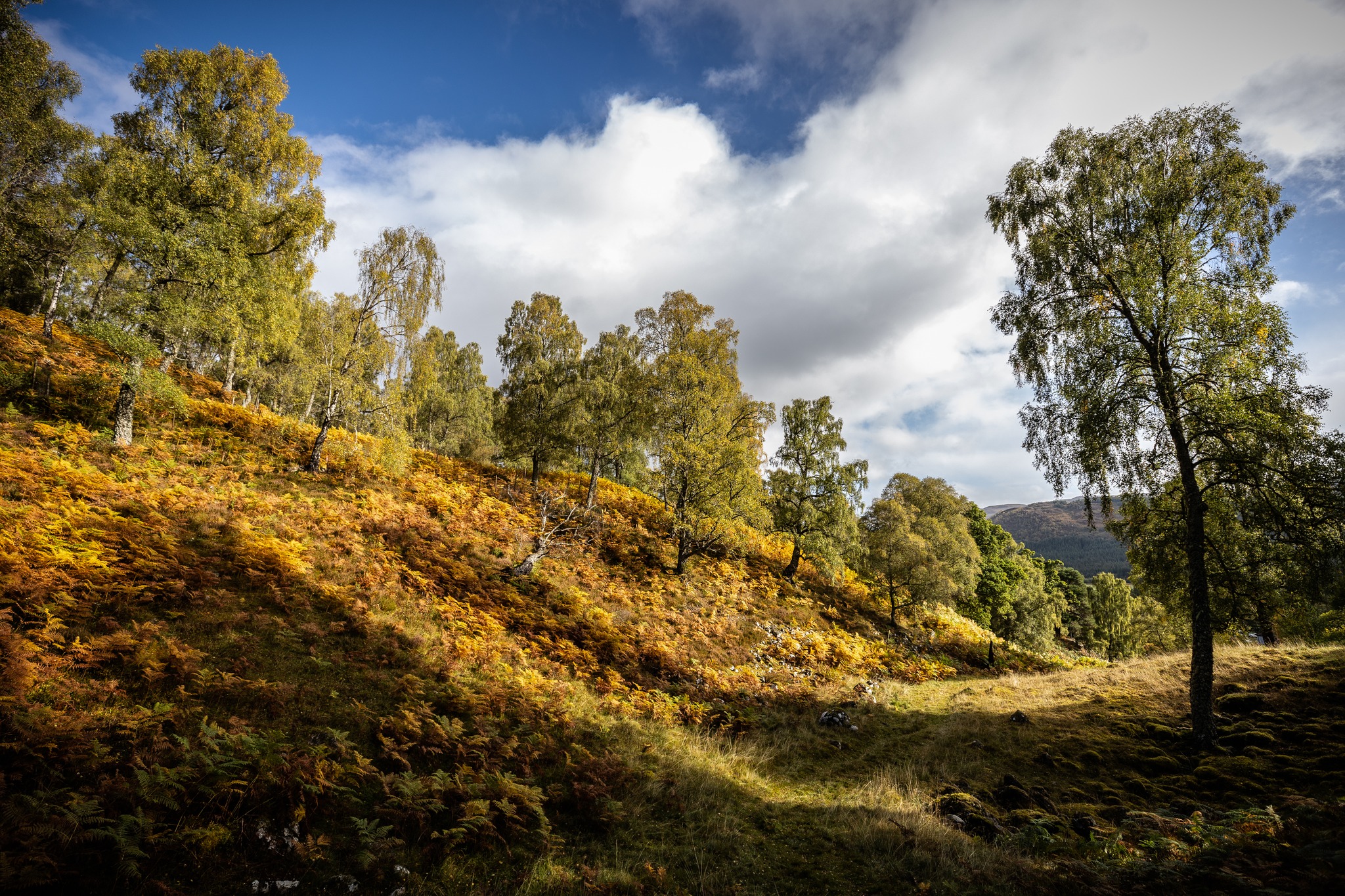 Scotland opens the world's first-ever rewilding centre
