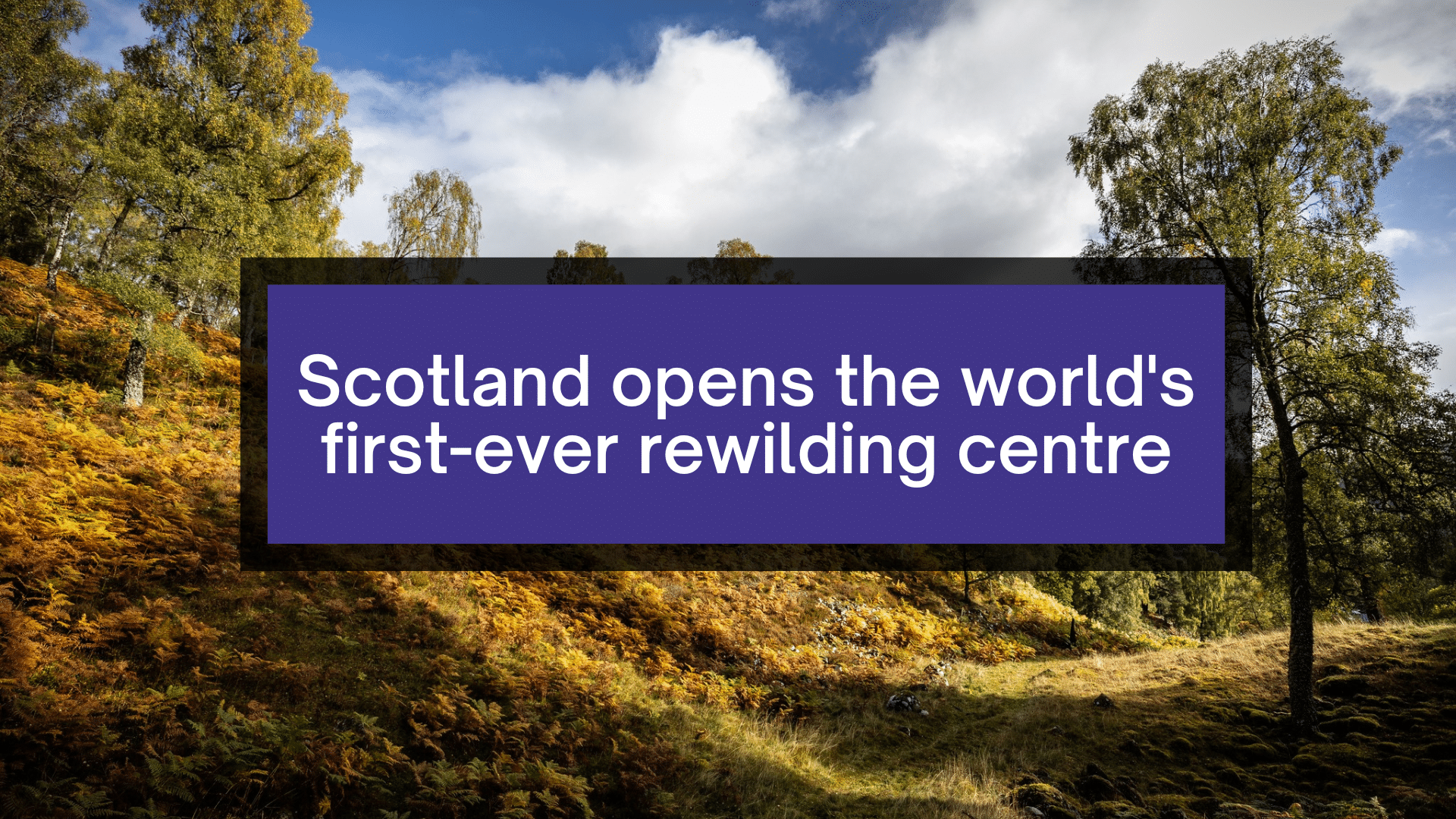 Scotland opens the world's first-ever rewilding centre