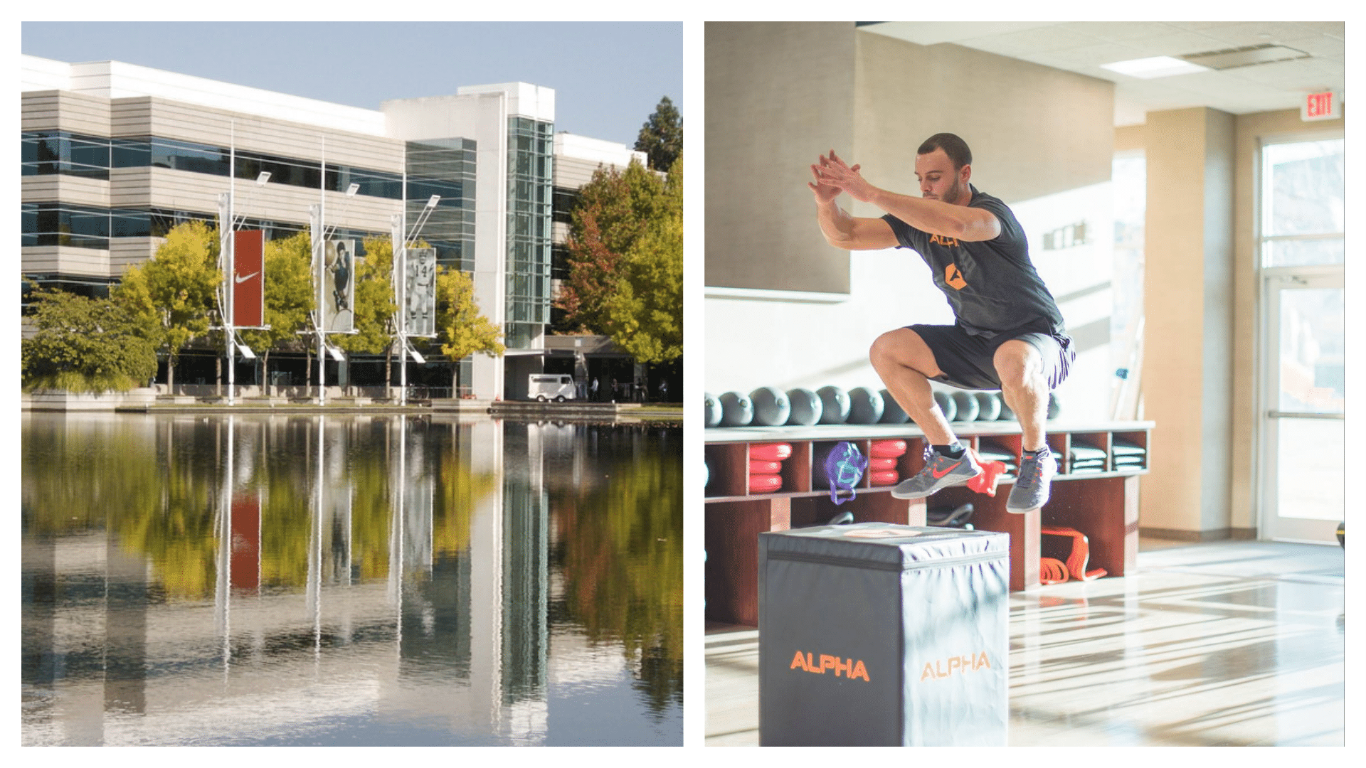 Top 10 biggest GYMS in the WORLD, ranked