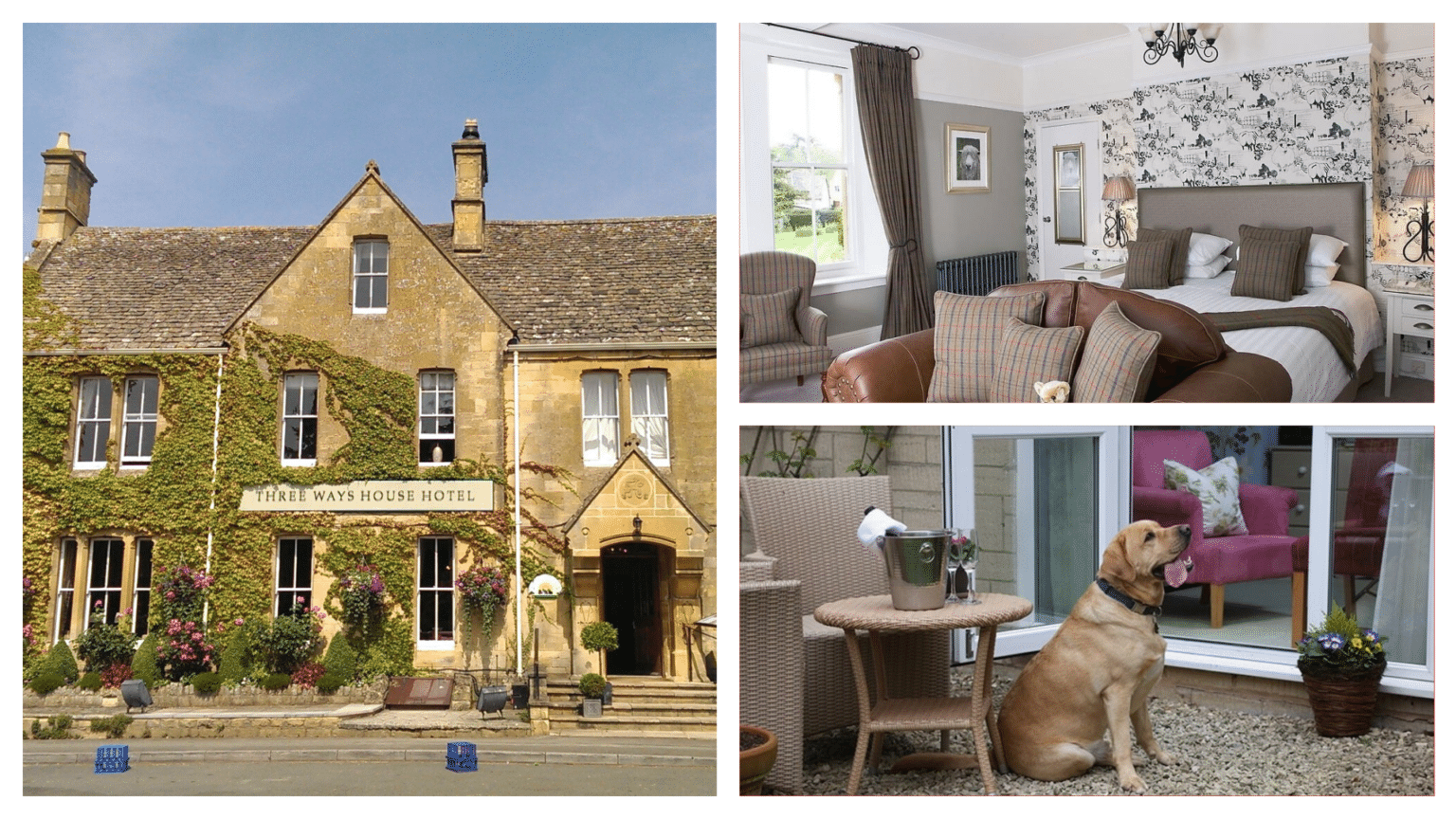 Top 10 DOG-FRIENDLY hotels in the Cotswolds