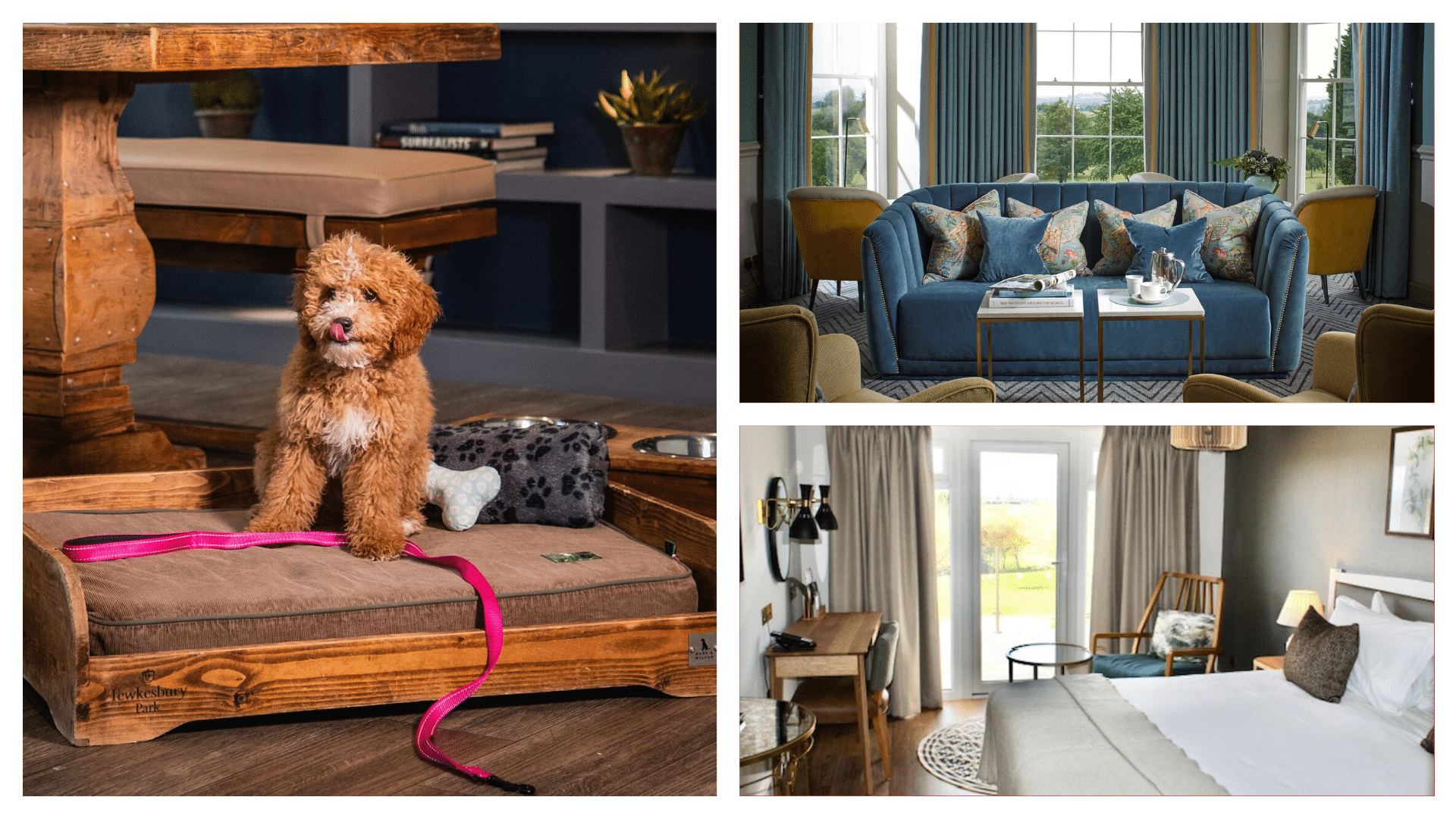 Top 10 DOG-FRIENDLY hotels in the Cotswolds