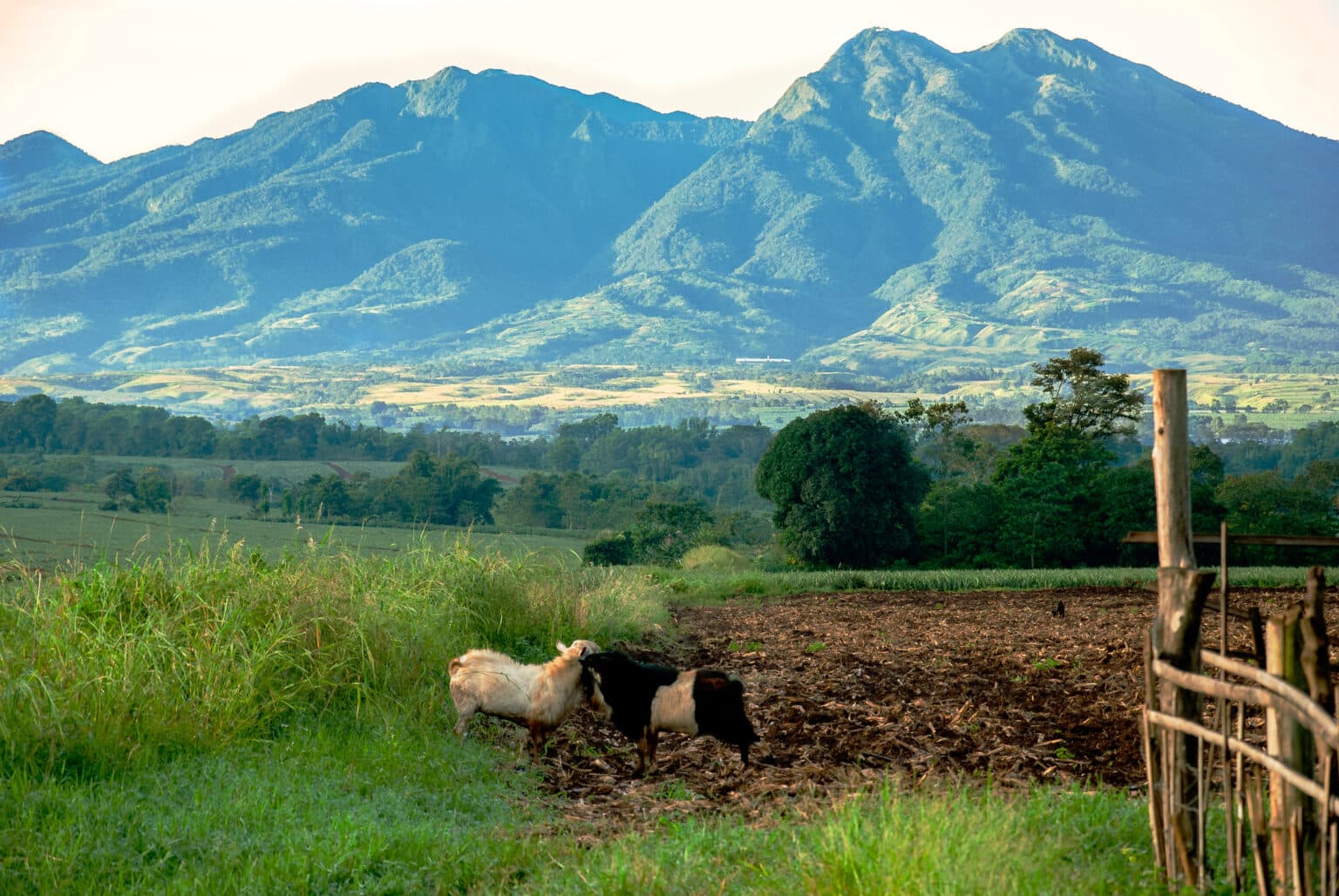 Top 10 BEAUTIFUL mountains in the PHILIPPINES for hikers