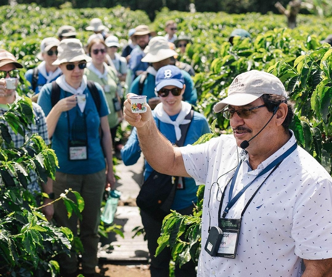 Top 10 best COFFEE tours around the world, RANKED
