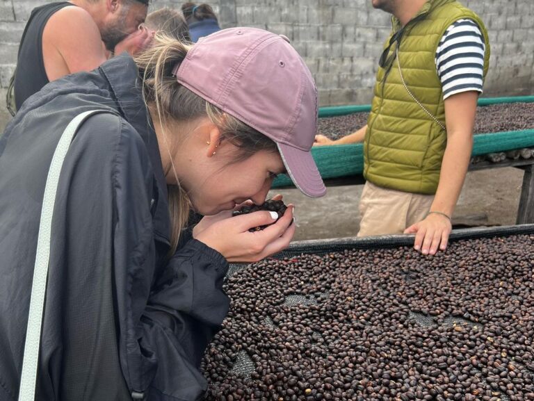 Top 10 best COFFEE tours around the world, RANKED
