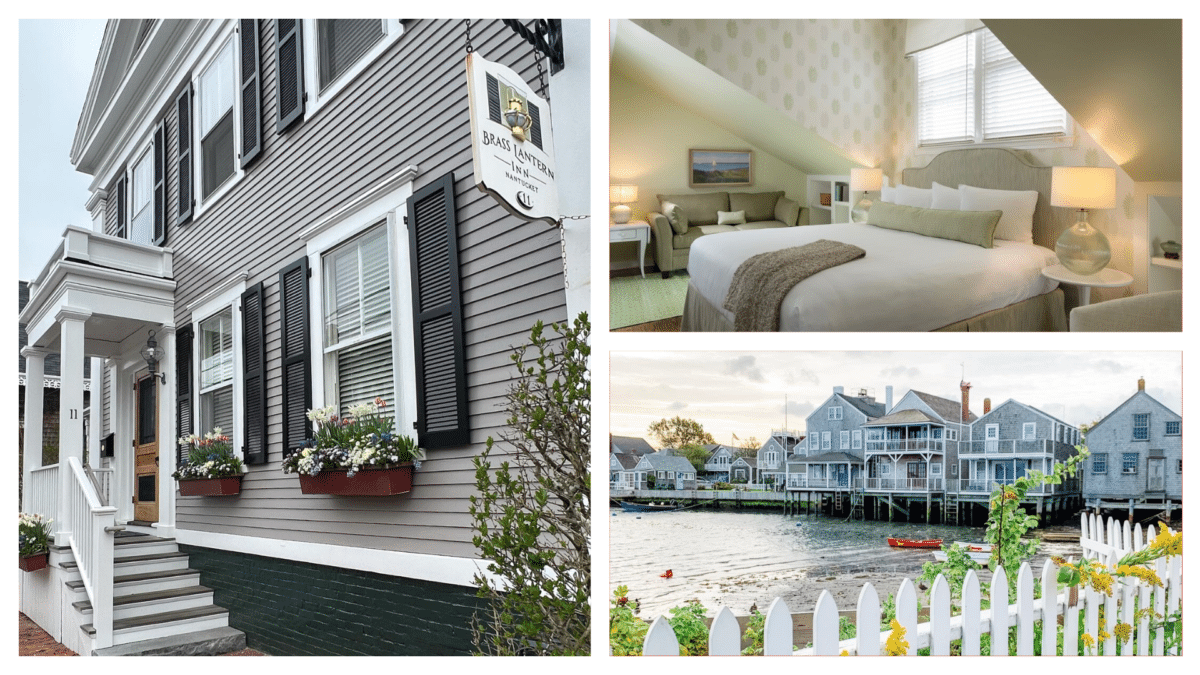 Top 10 dog-friendly HOTELS in CAPE COD