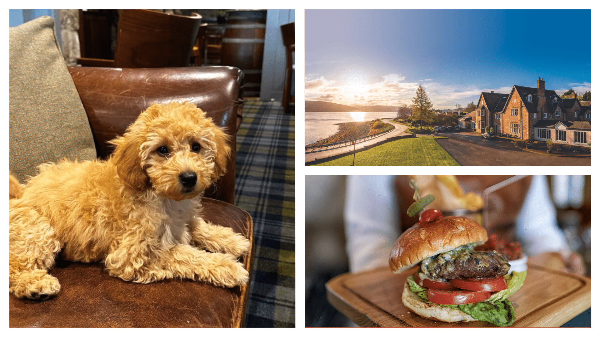Top 10 DOG-FRIENDLY hotels in SCOTLAND, ranked