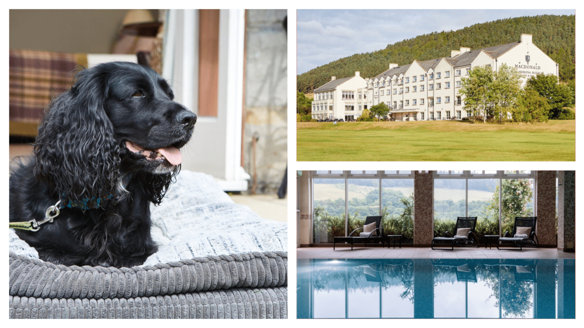 Top 10 DOG-FRIENDLY hotels in SCOTLAND, ranked
