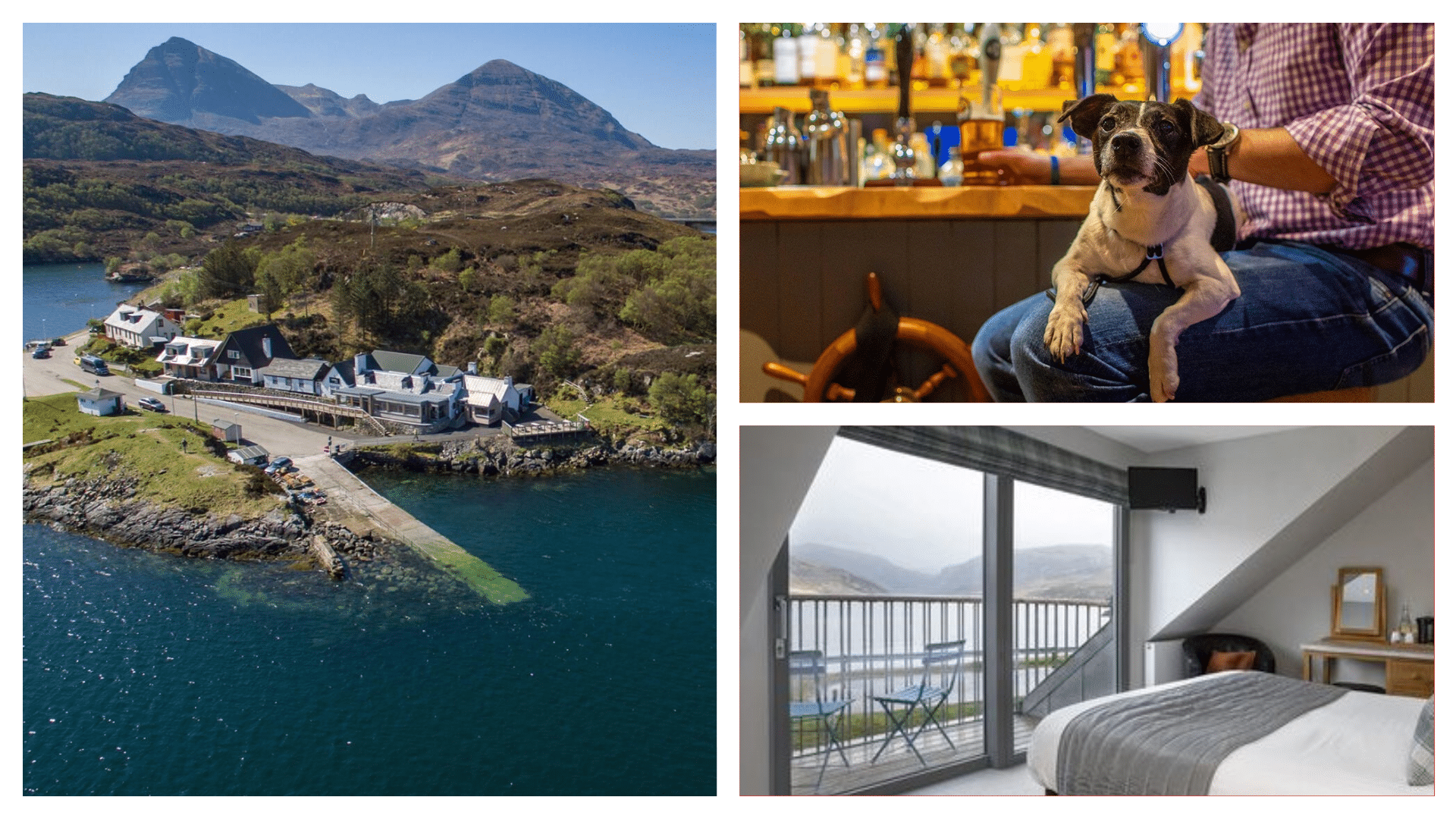 Top 10 DOG-FRIENDLY hotels in SCOTLAND, ranked