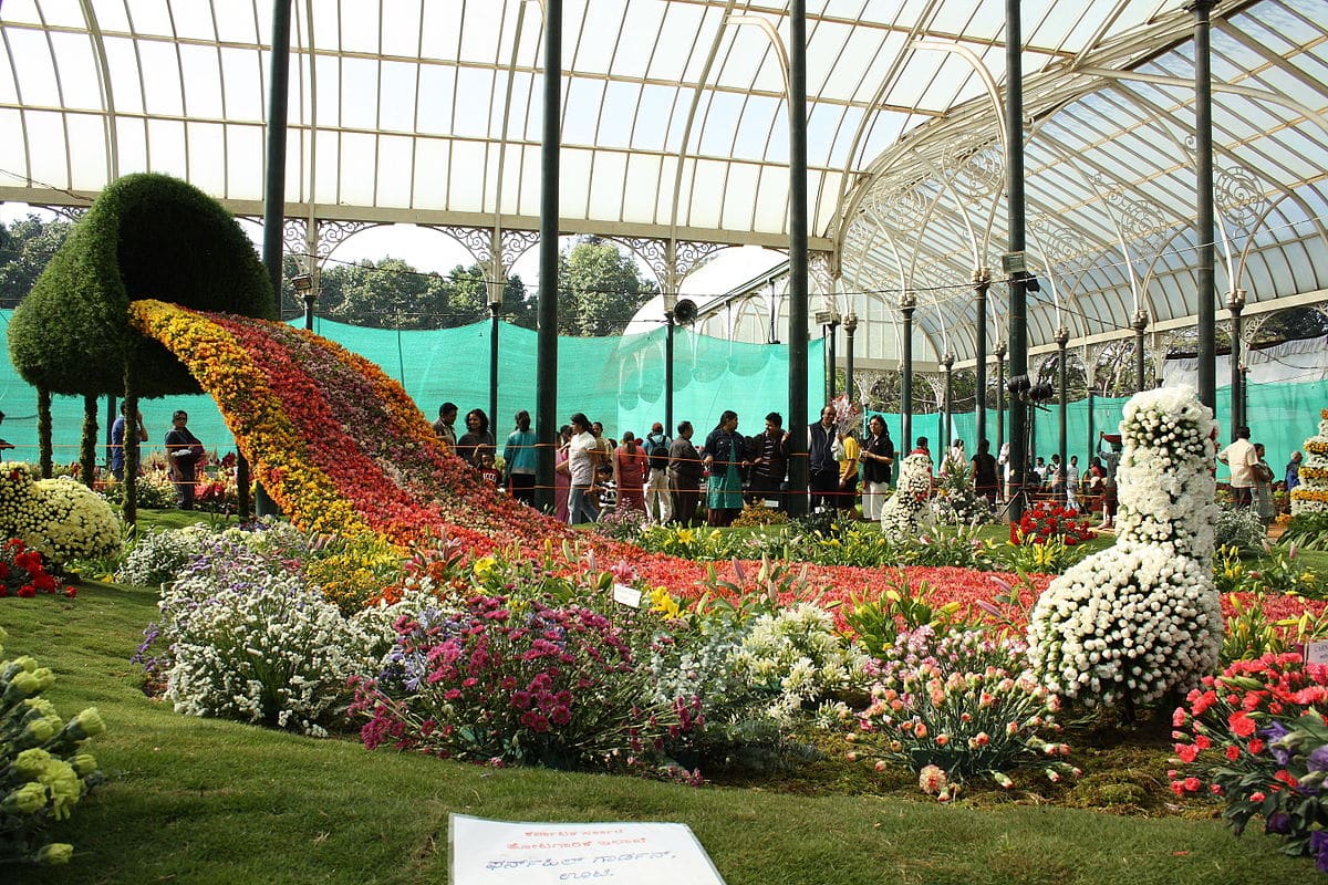 Flower show in LALBAGH: everything you NEED to know