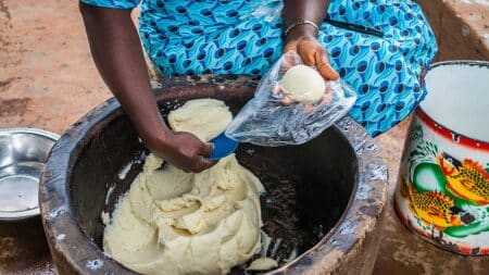 National FOODS of Nigeria: 10 must-try NIGERIAN dishes