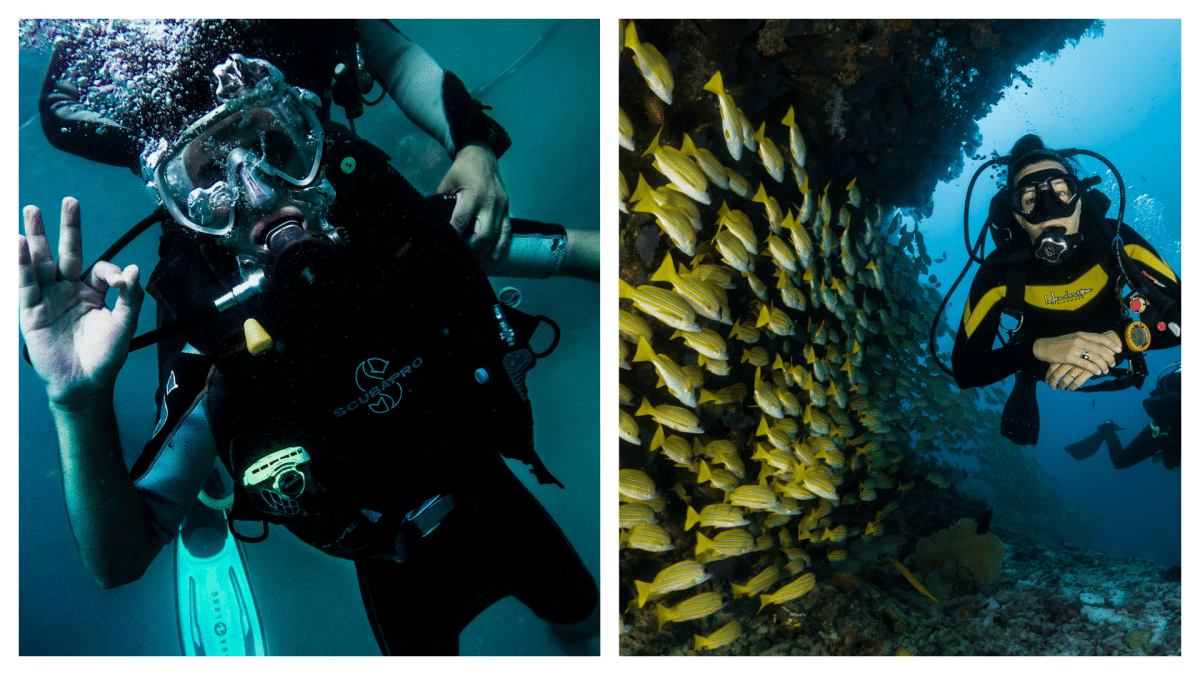 Scuba gear for beginners and what you need to know